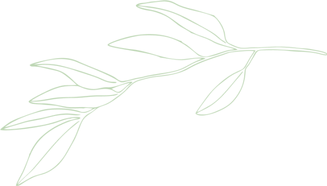 About - SDP Ayurveda